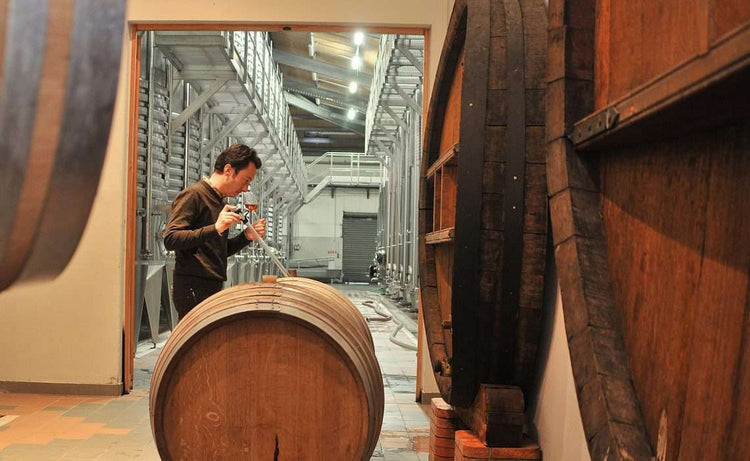 Everything you need to know about oenology and the profession of ...