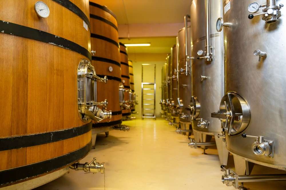 Fermentation malolactique : tout ce qu'il faut savoir sur cette étape ...
